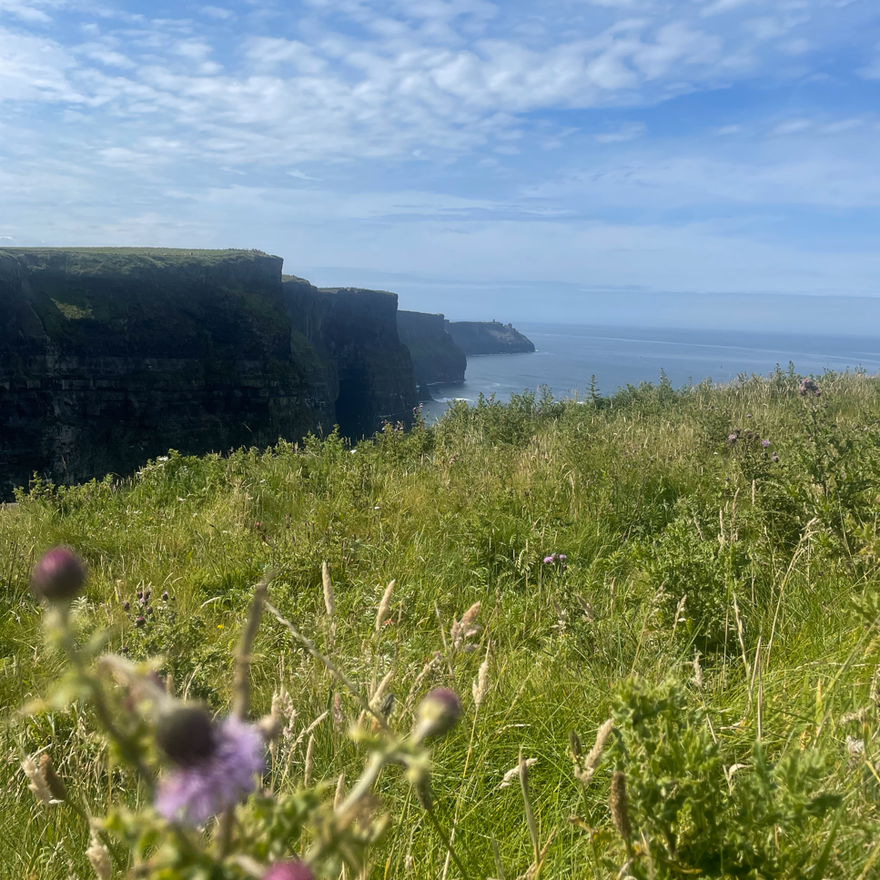 Study Abroad in Ireland: Emerson’s Global Pathway Program